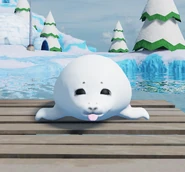 Seal Emotes + Face Expressions | Be a Silly Seal Wiki | Fandom