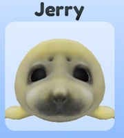 Seal skins | Be a Silly Seal Wiki | Fandom