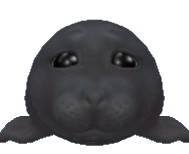 Niko | Be a Silly Seal Wiki | Fandom