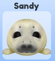 Seal skins | Be a Silly Seal Wiki | Fandom