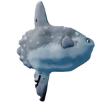 Fish | Be a Silly Seal Wiki | Fandom
