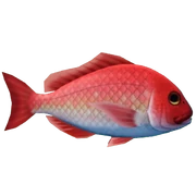 Fish | Be a Silly Seal Wiki | Fandom