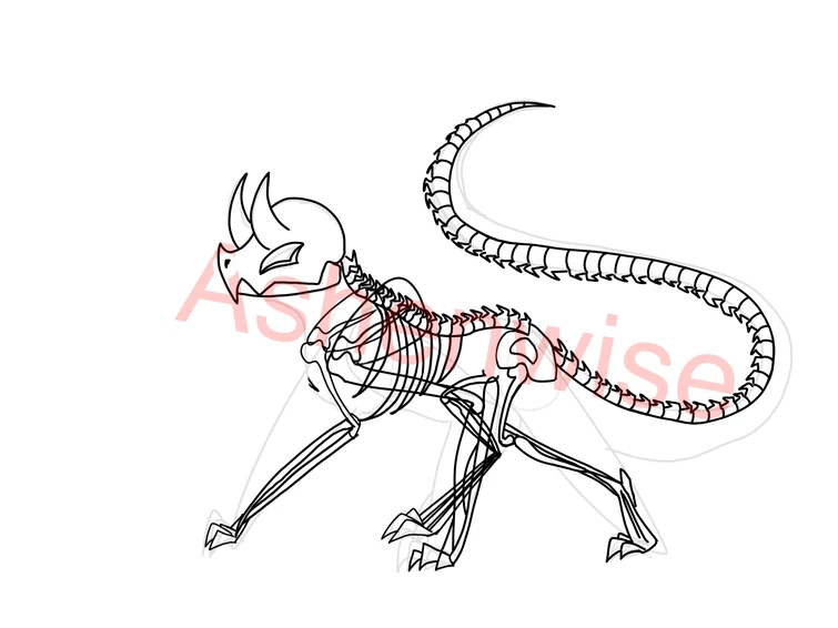 I finally finished the bones! | Fandom