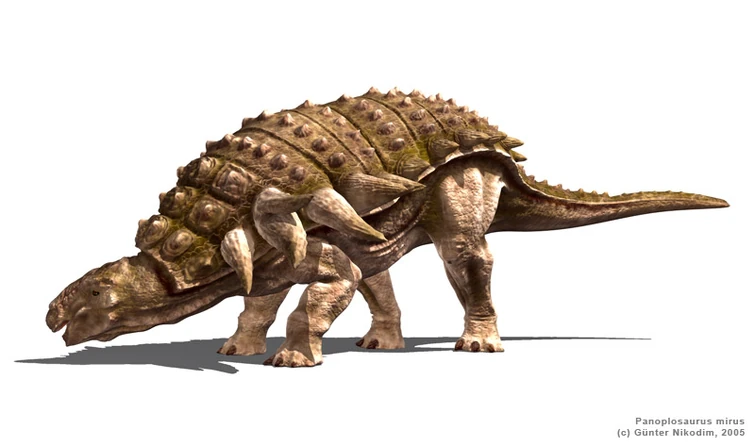 dino chaos season 1 round 1 fight 9: anoplosaurus vs panoplosaurus | Fandom