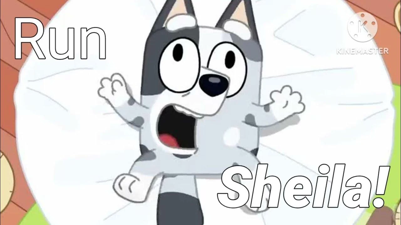 RUN SHEILA! | Fandom