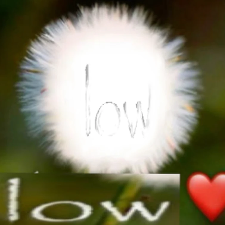 low | Fandom