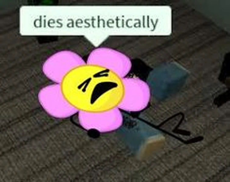 Give me OSC memes | Fandom