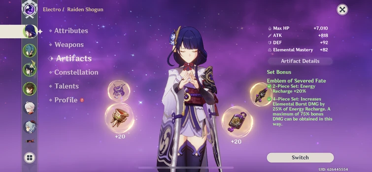 Rate my raiden build | Fandom