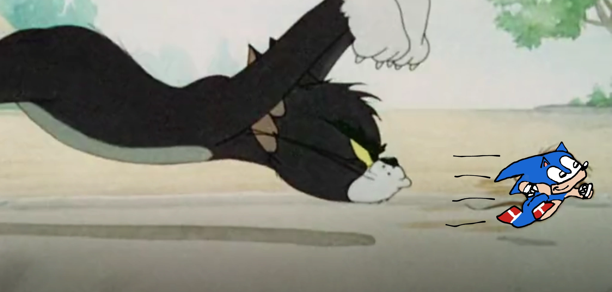 Sonic having fun with Tom the Cat | Fandom