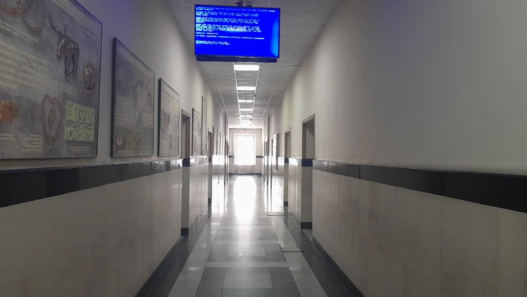 I took these photos at my university | Fandom