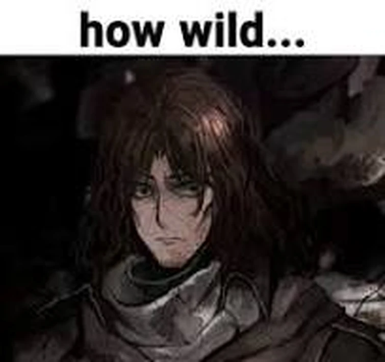 What 100 hours of Limbus Company does to me: | Fandom