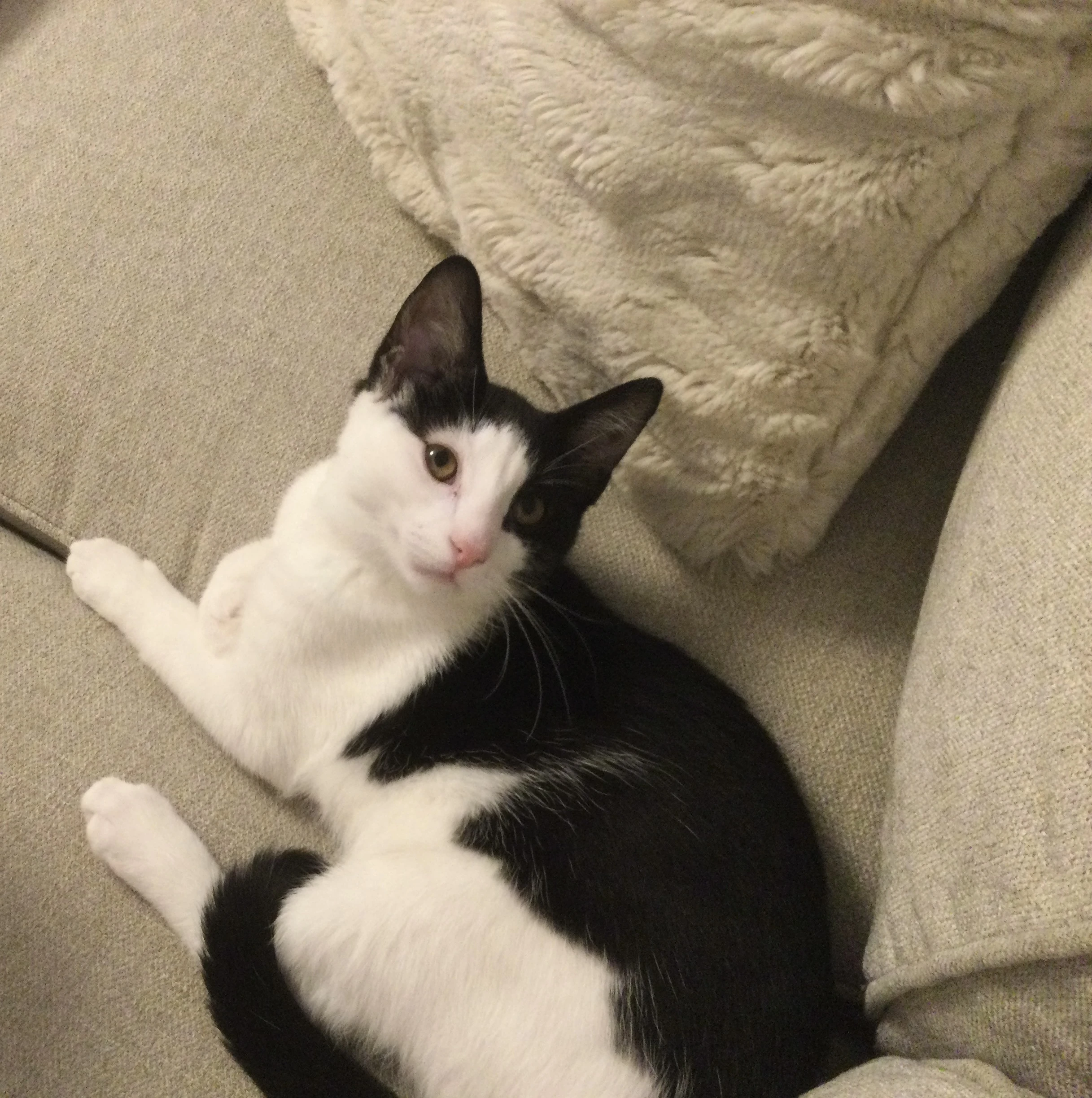 Trading/selling some stuff | Fandom