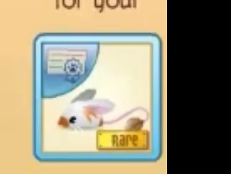 Discuss Everything About Animal Jam Item Worth Wiki | Fandom