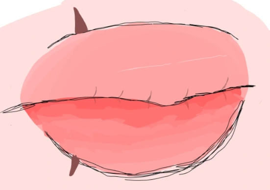 I made shigarakis lips glossy | Fandom