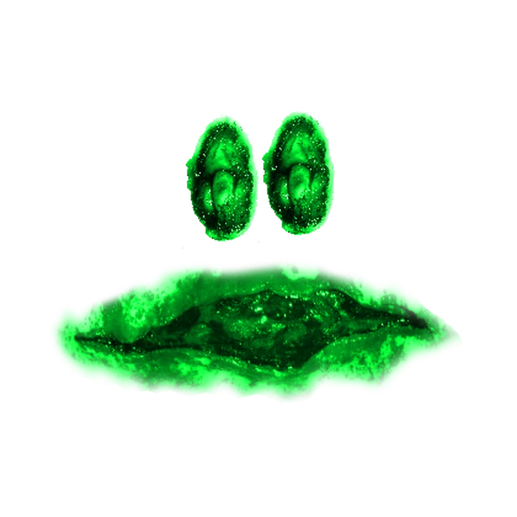 since nomorefleshyface deleted another face | Fandom