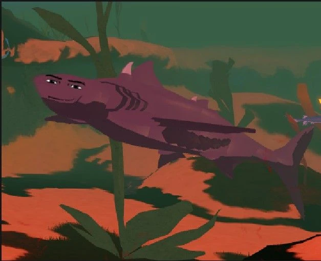 Who remember this shark? | Fandom