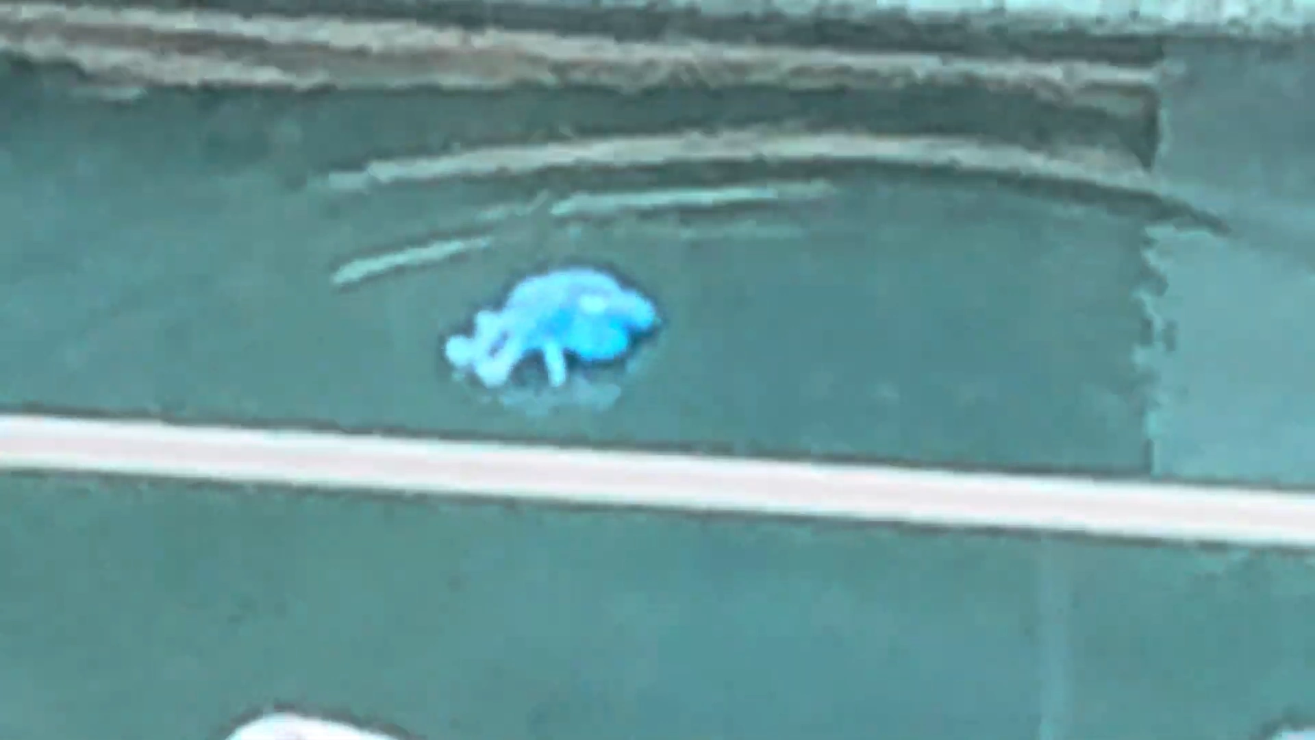 FOUR DROWNS?!?!?! | Fandom