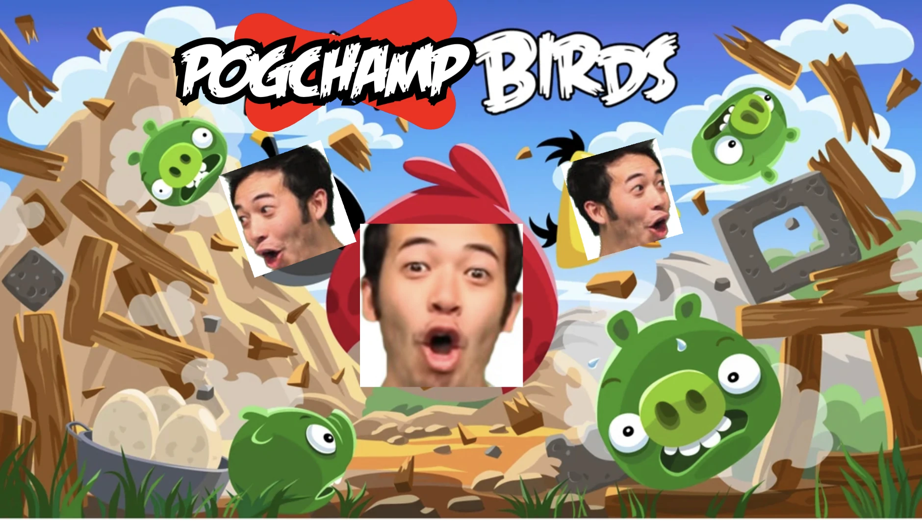 Pogchamp Birds | Fandom