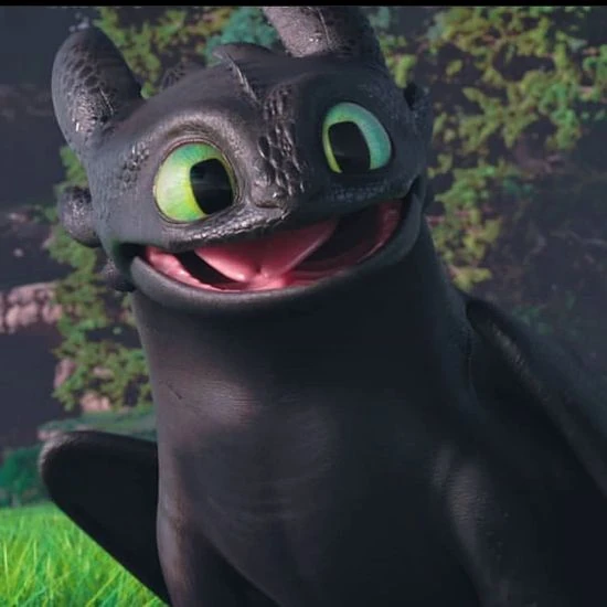 Is Toothless really a very cute Night Fury? | Fandom