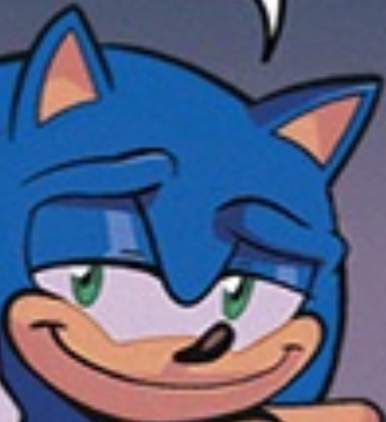 Discuss Everything About Sonic Wiki Zone | Fandom