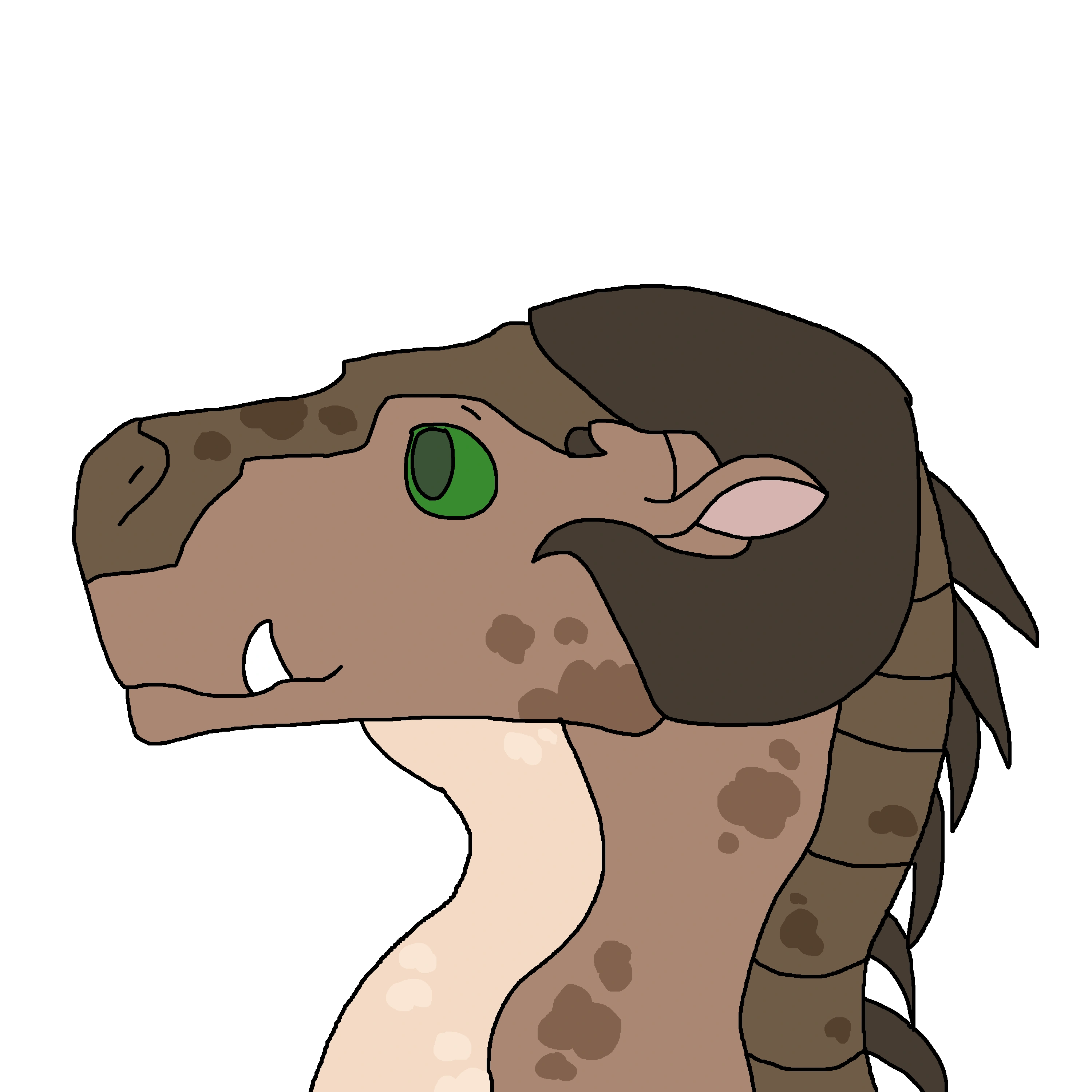 Drawing/designing every wof character- Asha | Fandom