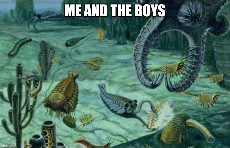 Meme | Fandom