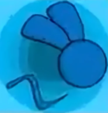 Pfp poll! Ends at 10 votes | Fandom