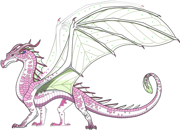 Stardust Academy (JJBA × WoF) | Fandom