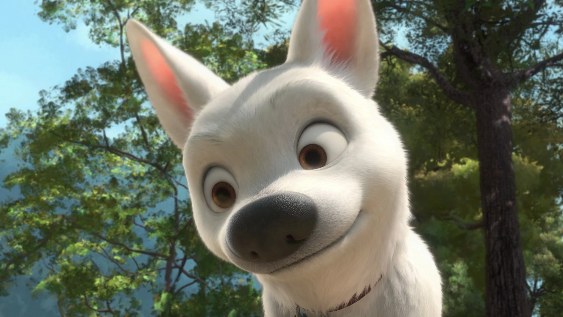 remember Bolt? | Fandom