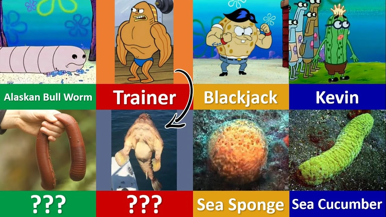 SpongeBob characters IRL | Fandom