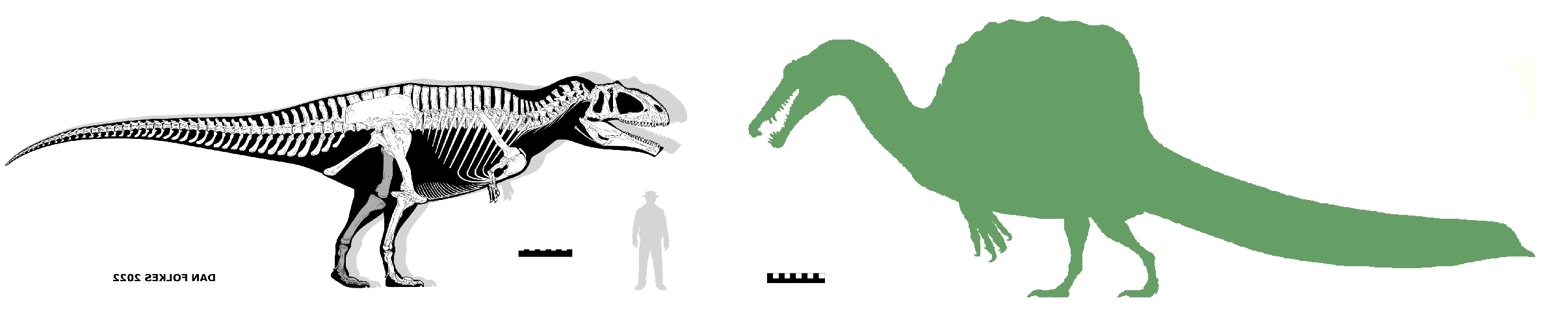 Size comparisons with v4047 (using recent recon) | Fandom