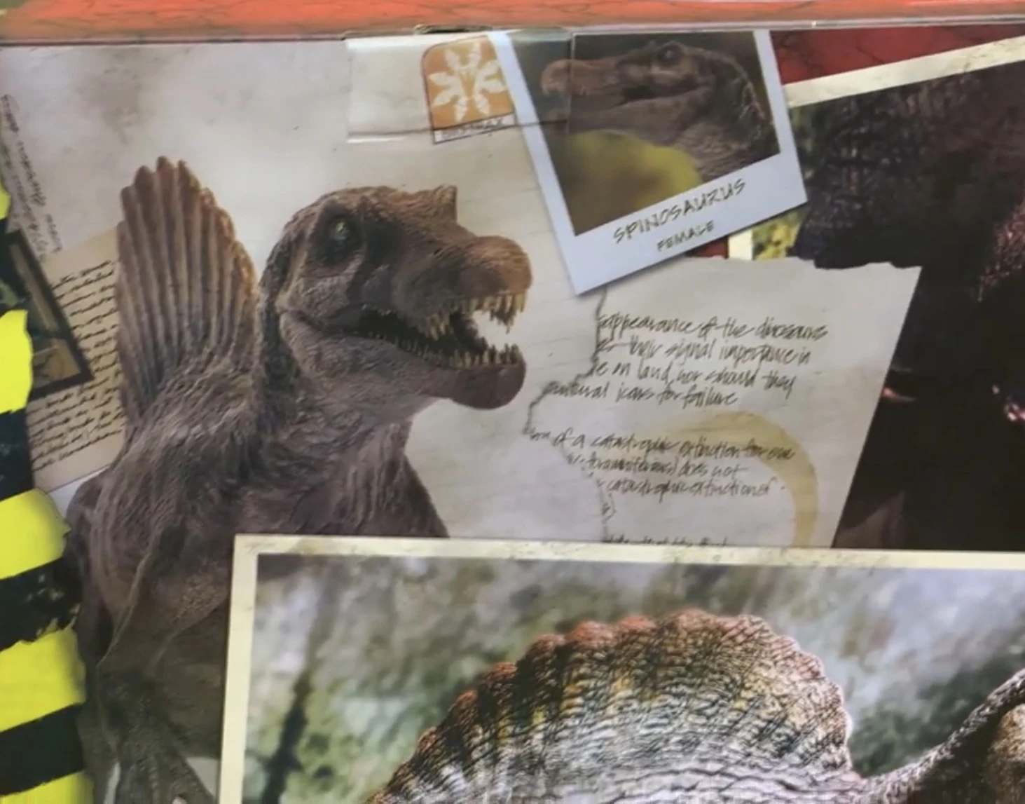 Wasn't Asset 87 male? | Fandom