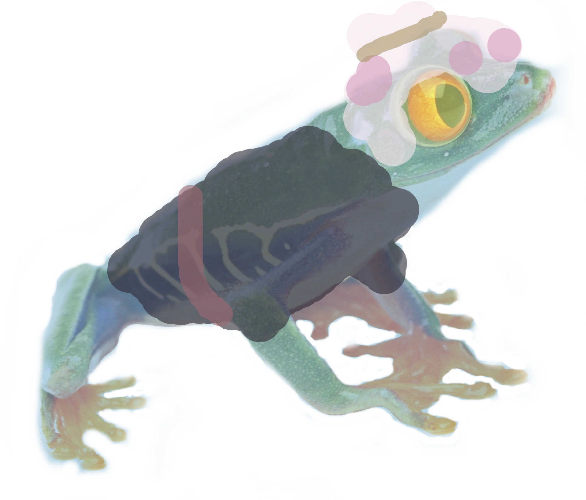 ok so now maddie, toadie, and mayor toadstool | Fandom