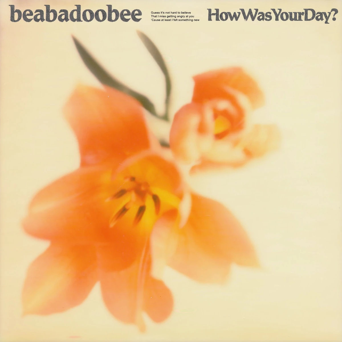 Together | Beabadoobee Wiki | Fandom