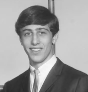 David Marks | The Beach Boys | Fandom