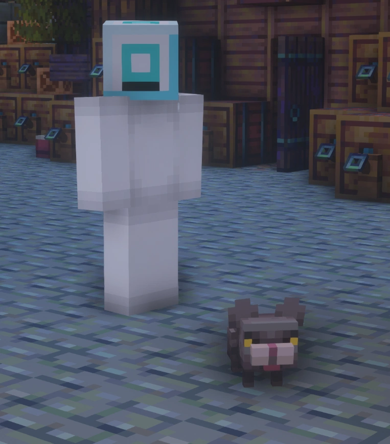 Cat | Beaconnet Wiki | Fandom