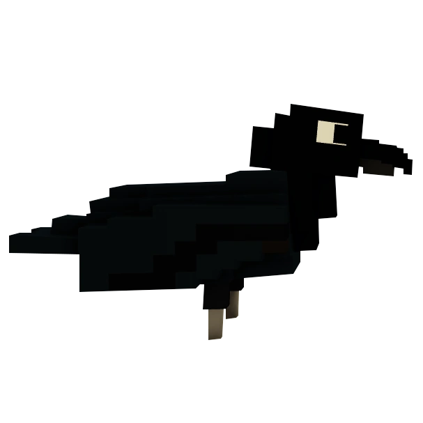 Raven | Beaks Wiki | Fandom