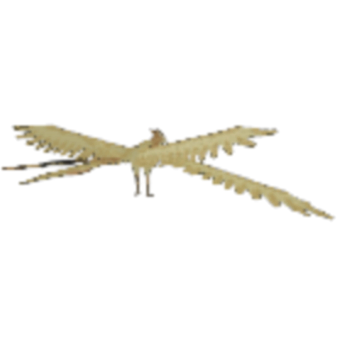 Solarith | Beaks Wiki | Fandom