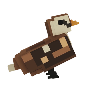 Sparrow | Beaks Wiki | Fandom