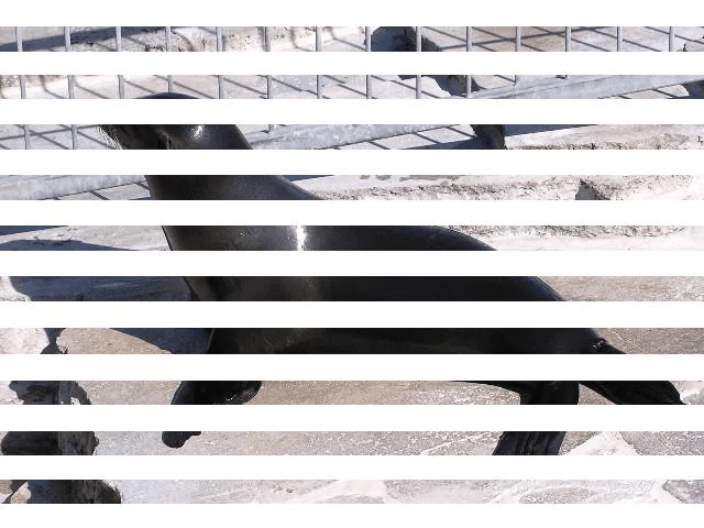 Interlaced | Beamerwiki | Fandom