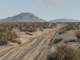Johnson Valley | BeamNG.drive Wiki | Fandom