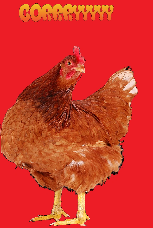 Cory the Poor Chicken | Bean Cafe Channel Wikia | Fandom