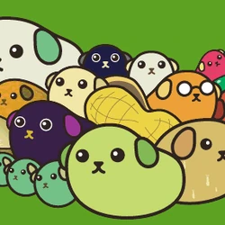 Mameshiba Peanut