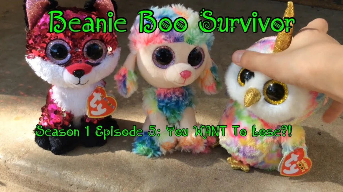 You WANT To Lose?! | Beanie Boo Survivor Wiki | Fandom