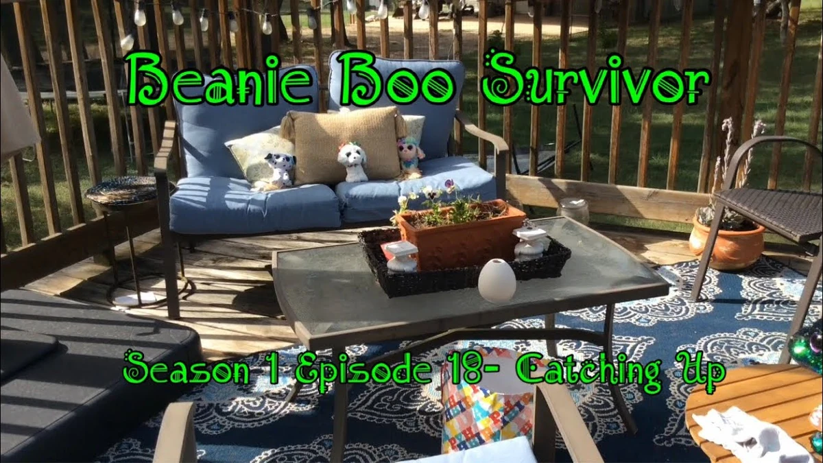 Catching Up | Beanie Boo Survivor Wiki | Fandom
