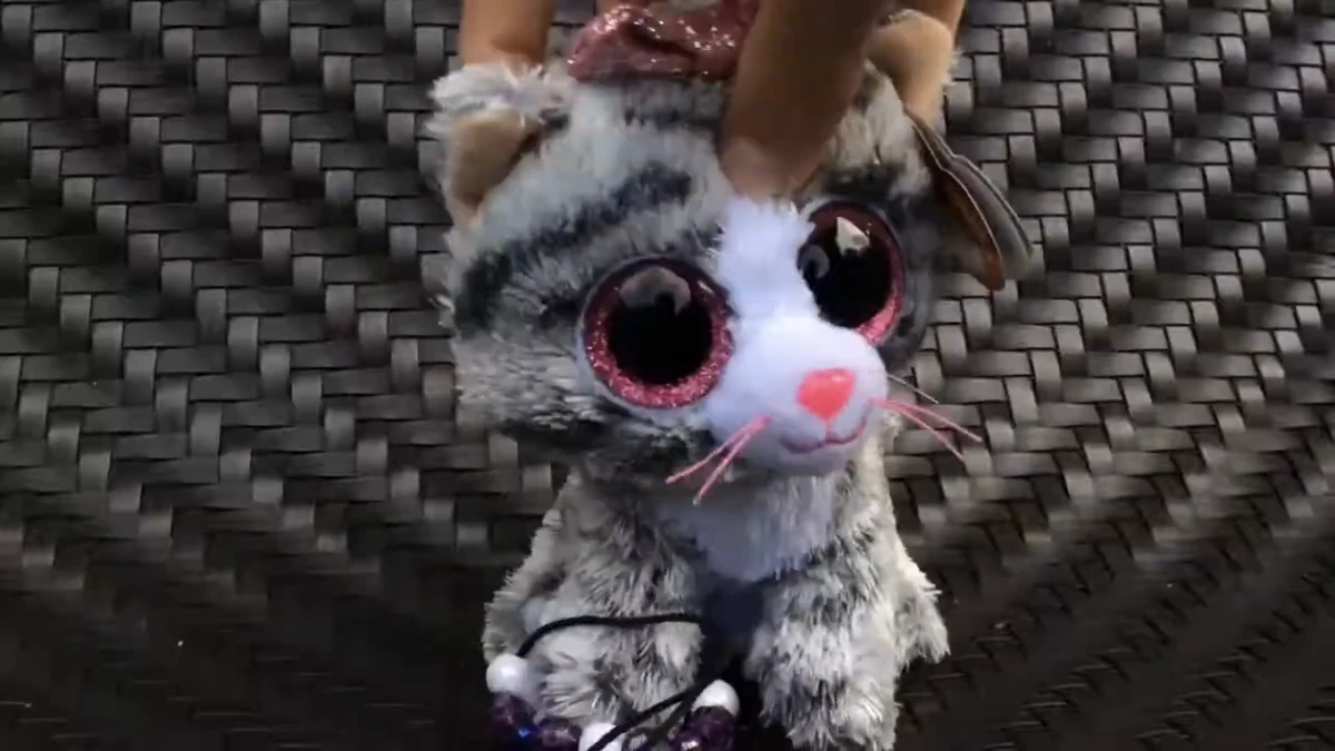 Hidden Immunity Idol | Beanie Boo Survivor Wiki | Fandom