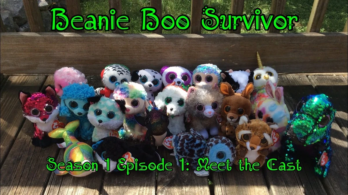 Meet The Cast | Beanie Boo Survivor Wiki | Fandom