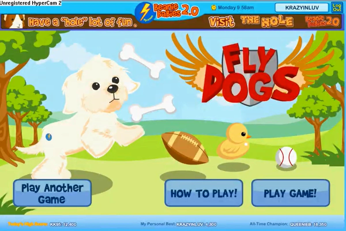 Fly Dogs | Beanieland Wiki | Fandom