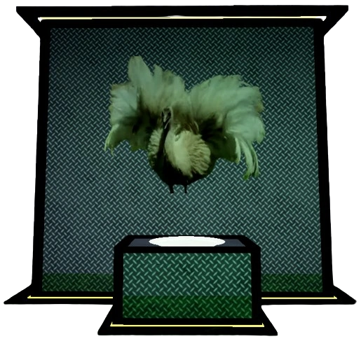 Kevin Altar | BEAR ALT Wiki | Fandom