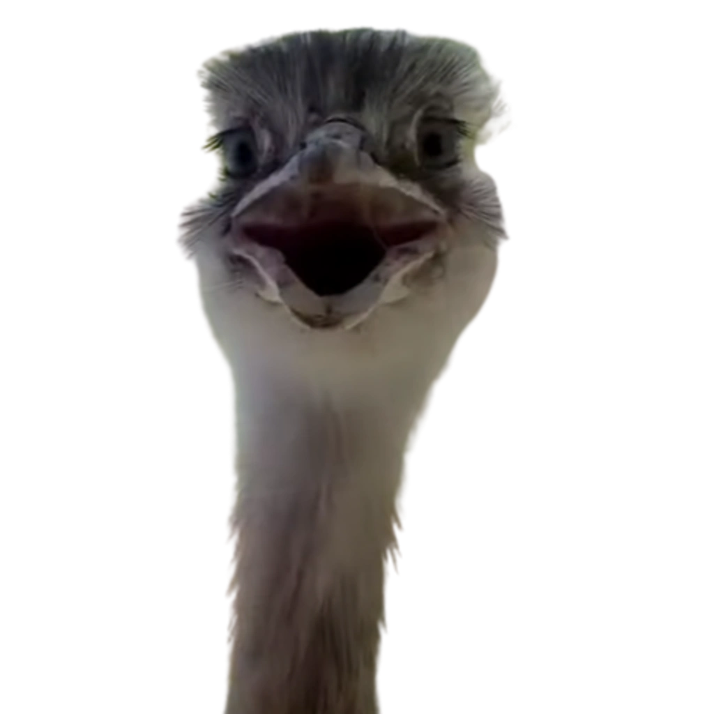 Kevin | BEAR ALT Wiki | Fandom